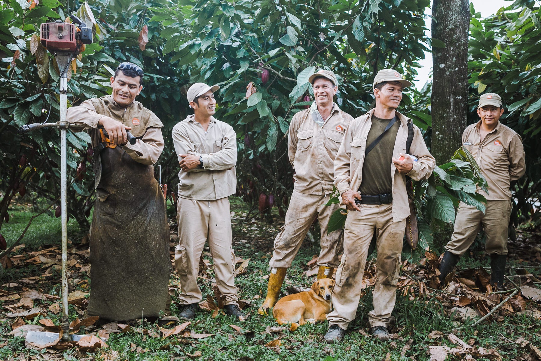 Cox&Co Cacao – Cox&Co Cacao